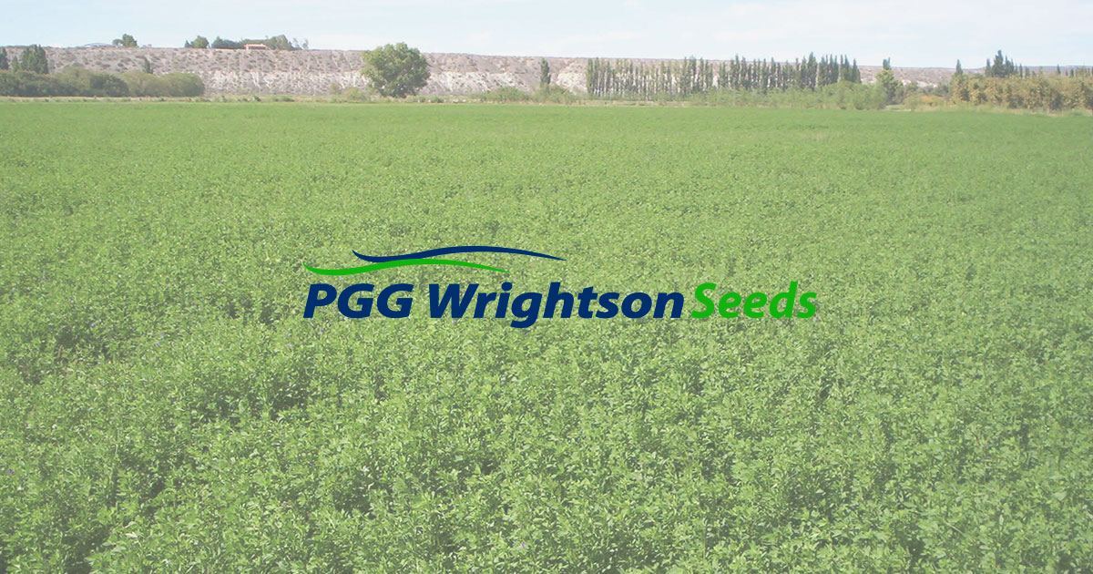 Quem somos - PGG WRIGHTSON SEEDS